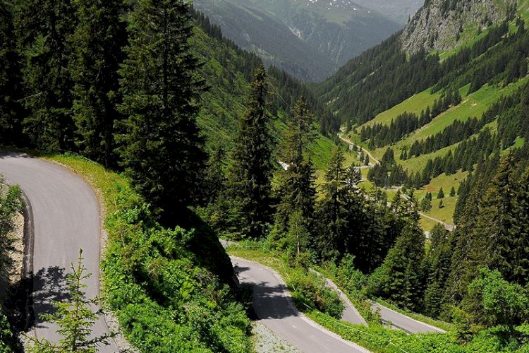 YOL - EdebiyatBlog - Online Blog Makale Kurgu Yaz Oku